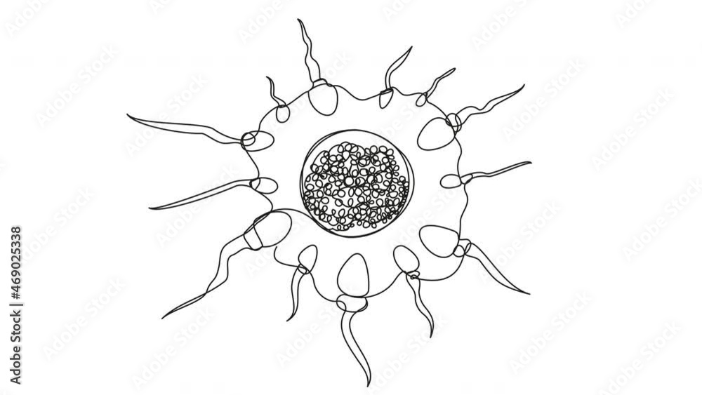 Animation of the sperm cells surrounding the egg cage. Self drawing of ...