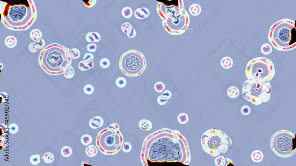 Vidéo Stock Pink-blue microorganisms move under the microscope, merging ...
