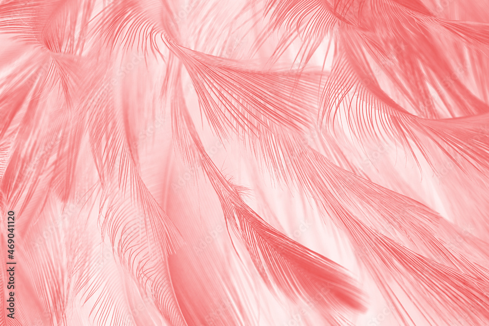 Beautiful dark maroon red feather pattern texture background Stock ...