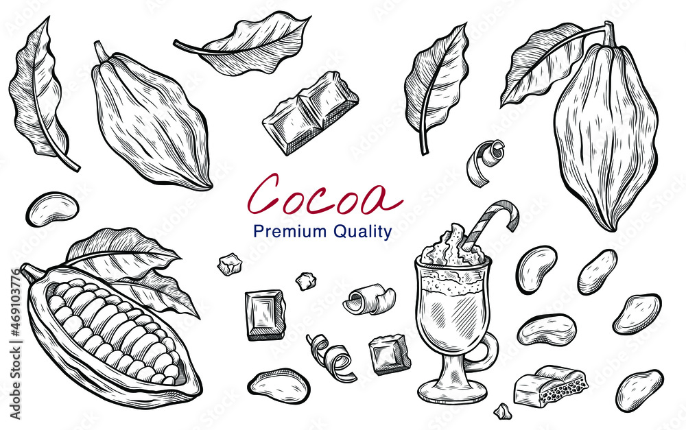 Vector sketch illustration of cocoa and chocolate set drawing isolated ...