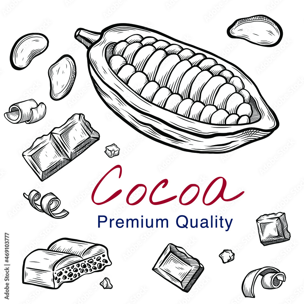 Vector sketch illustration of cocoa and chocolate set drawing isolated ...