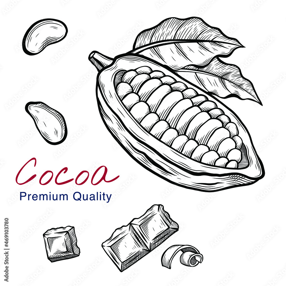 Vettoriale Stock Vector sketch illustration of cocoa and chocolate set ...