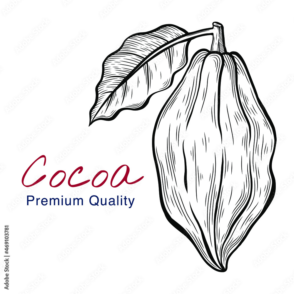 Vector sketch illustration of cocoa and chocolate set drawing isolated ...