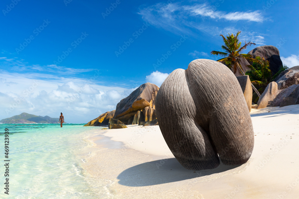 Coco de mer or sea coconut, or double coconut is the largest and ...