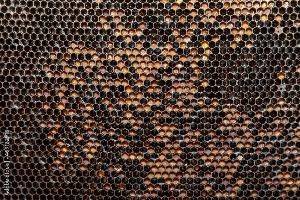 Bee frame texture for backgrounds. Frame on a piss on the farm Stock ...