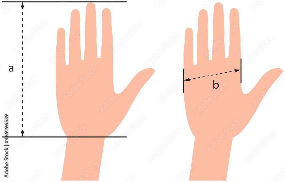 Vector Template for measuring hands. Glove Sizing Charts. Template for ...