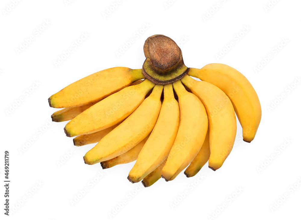 Lady finger banana, banana CV. Kluai Leb Mu Nang (Scientific name ...