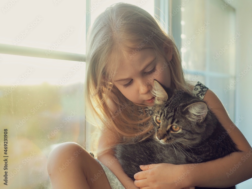Cute little girl sitting on windowsill with fluffy cat. Best friends ...