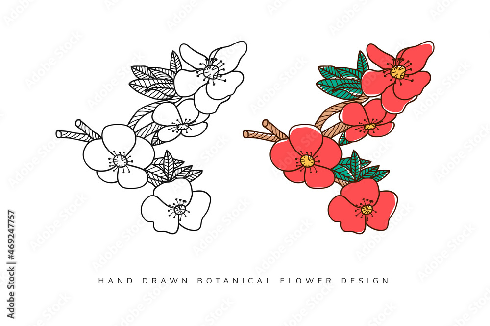 Flower graphic design. Vector set of floral elements with hand drawn ...