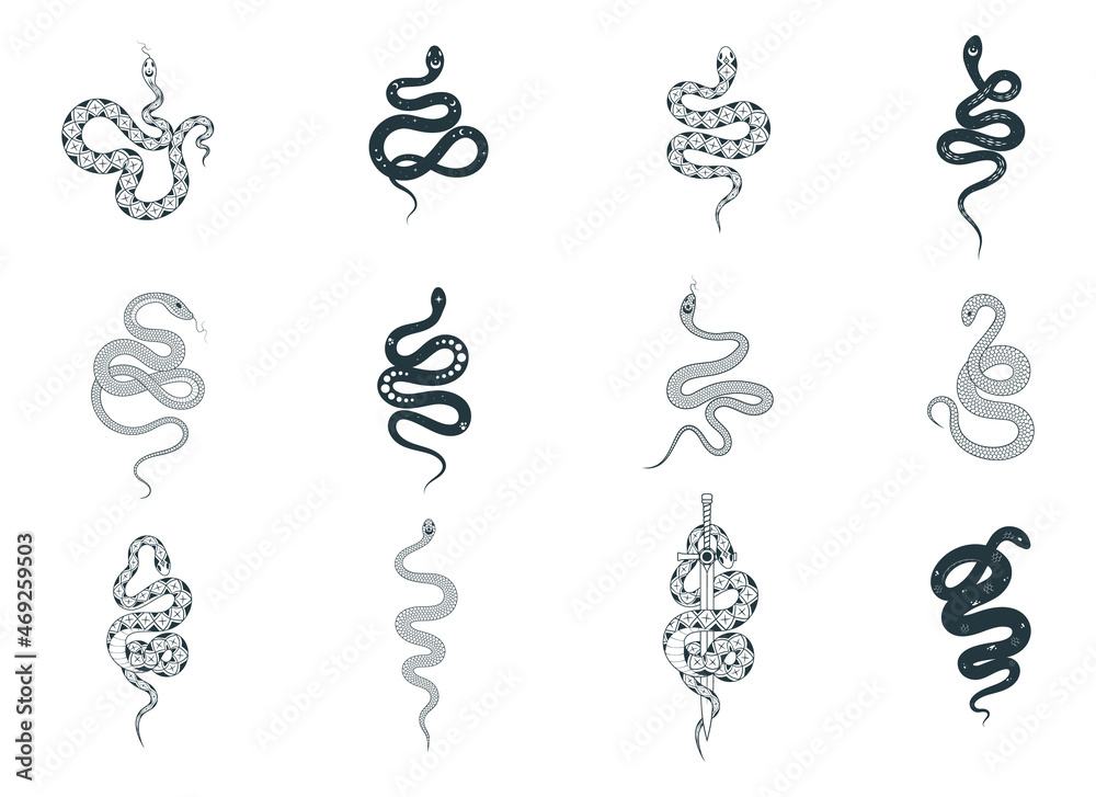 Vetor do Stock: Hand drawn esoteric snakes set. Mystical witchy ...