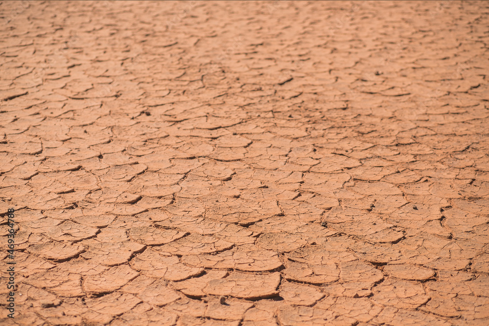 textura de tierra seca Stock Photo | Adobe Stock