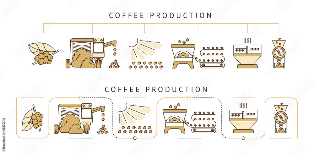 step-by-step instructions for making coffee starting with the harvest ...