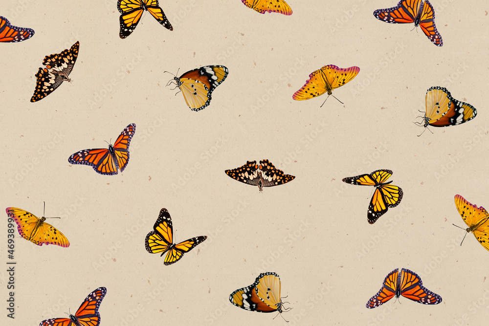 Butterfly background paper texture. Vintage Butterfly Pattern. Stock ...