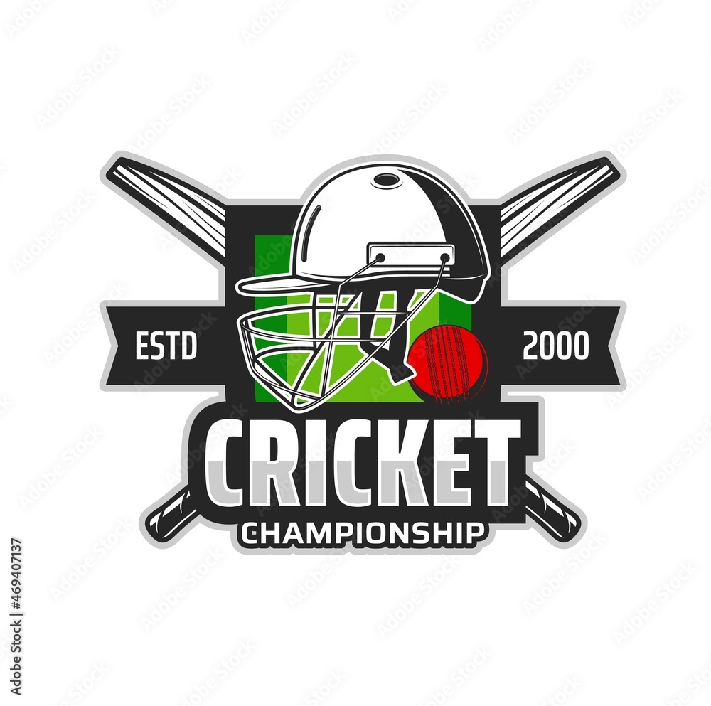 Cricket sport icon with player protective helmet, two crossed bats and ...
