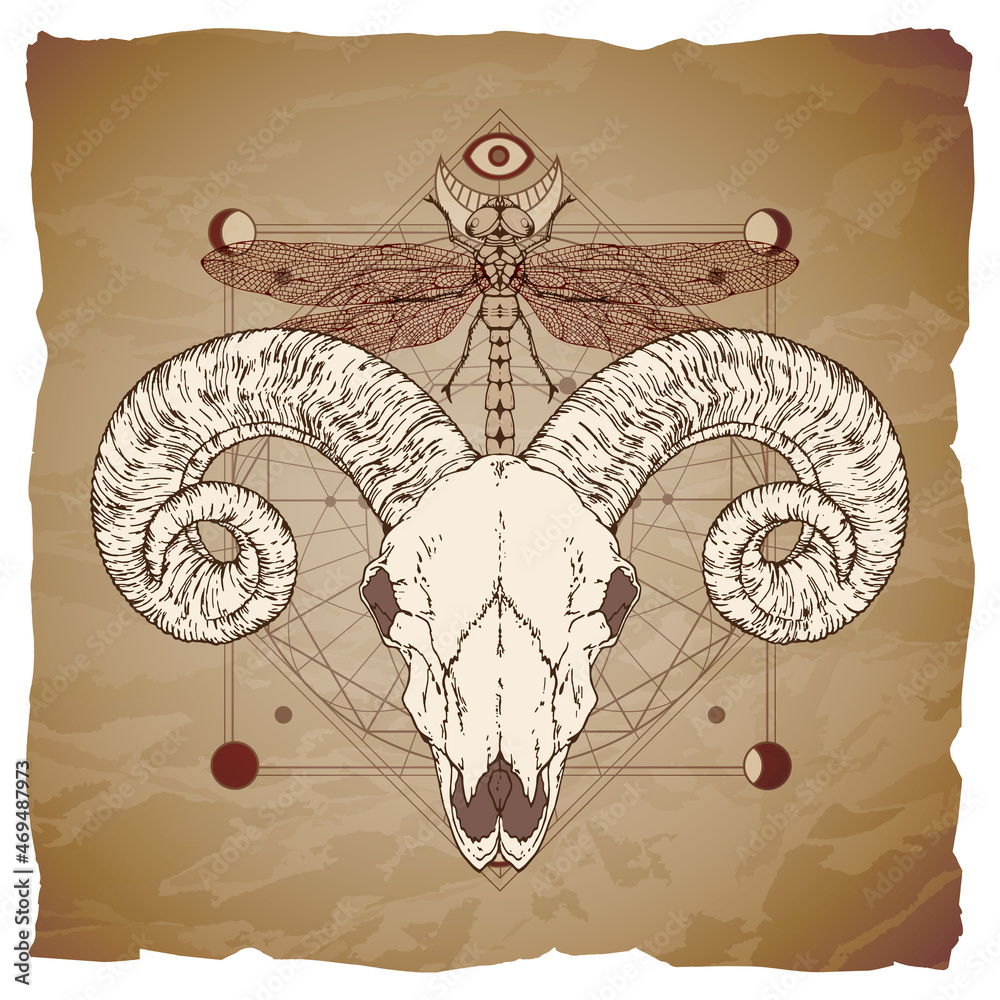 Vector illustration with hand drawn ram skull, dragonfly and Sacred ...