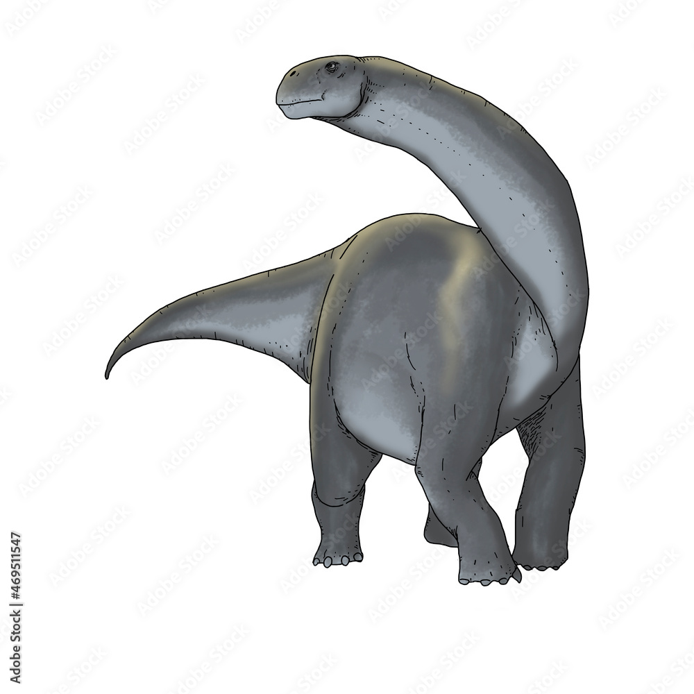 Realistic illustration of a dinosaur of the cetiosaurus species Stock ...