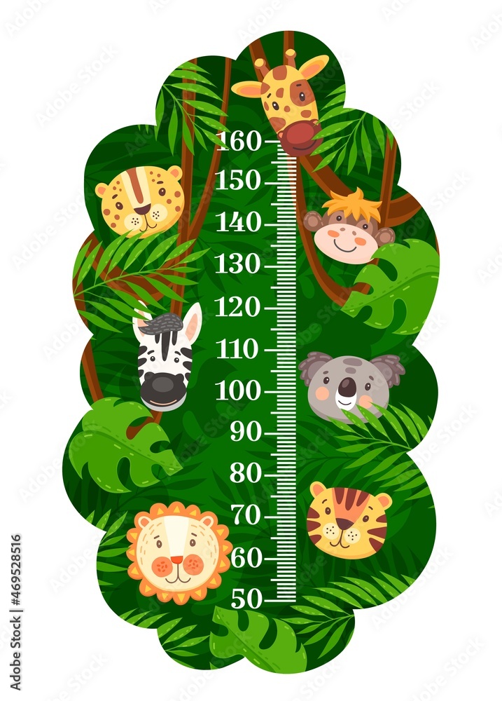 Kids height chart with African tropical cartoon animals vector ...