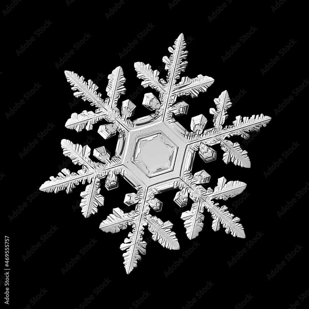 Snowflake isolated on black background. Macro photo of real snow ...