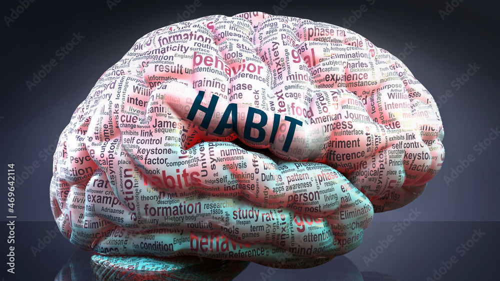 Habit in human brain, hundreds of crucial terms related to Habit ...