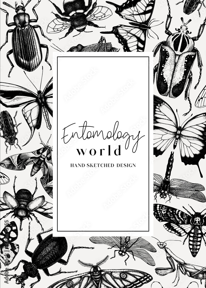 Hand-sketched insect card or invitation template. Hand drawn beetles ...