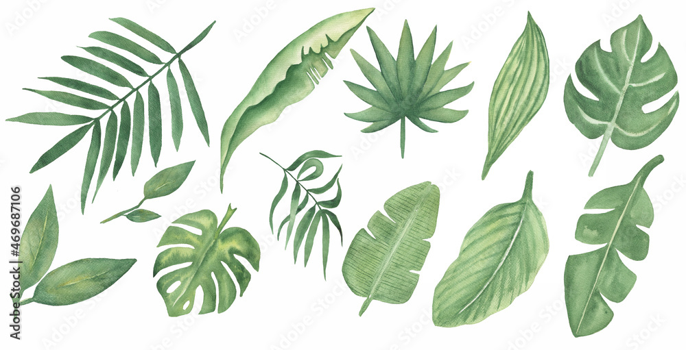 Watercolor Tropical Leaves Clipart, Safari DIY Elements Set, Jungle ...