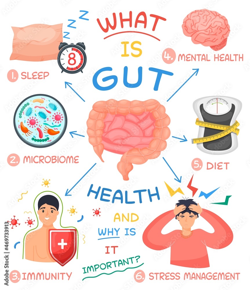 Gut health medical infographics set. Care components about bowel for ...