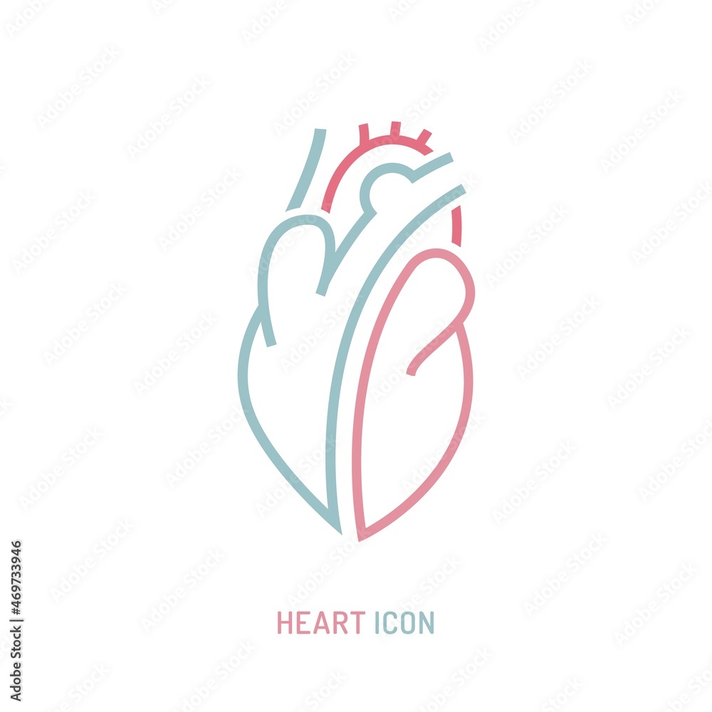 Healthy heart icon, internal human organ of cardiovascular blood ...