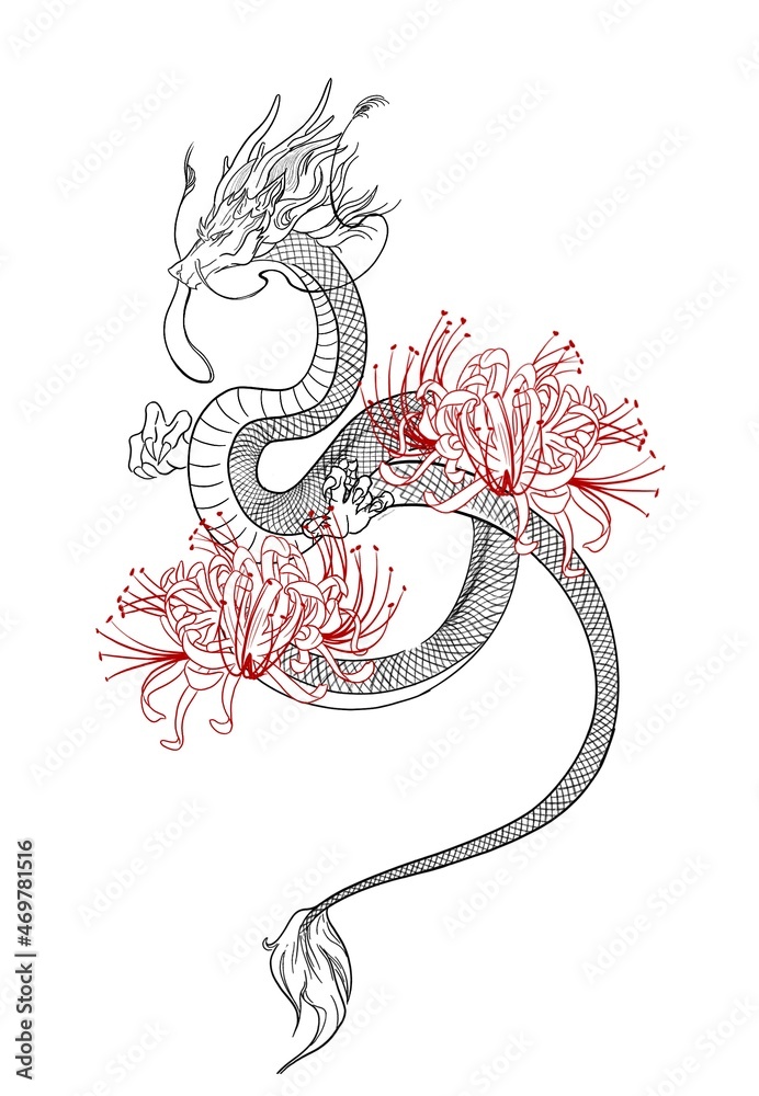sketch beautiful writhing dragon with clouds and moon Stock ...