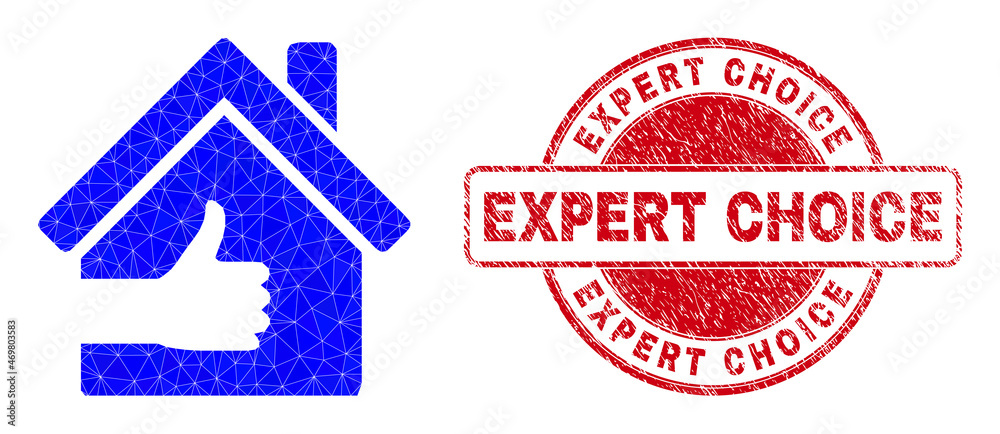 Low-Poly triangulated best house icon illustration with Expert Choice ...