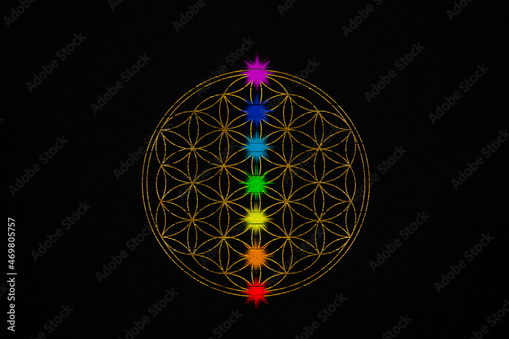 Golden flower of life and colored seven chakras Stock Illustration ...
