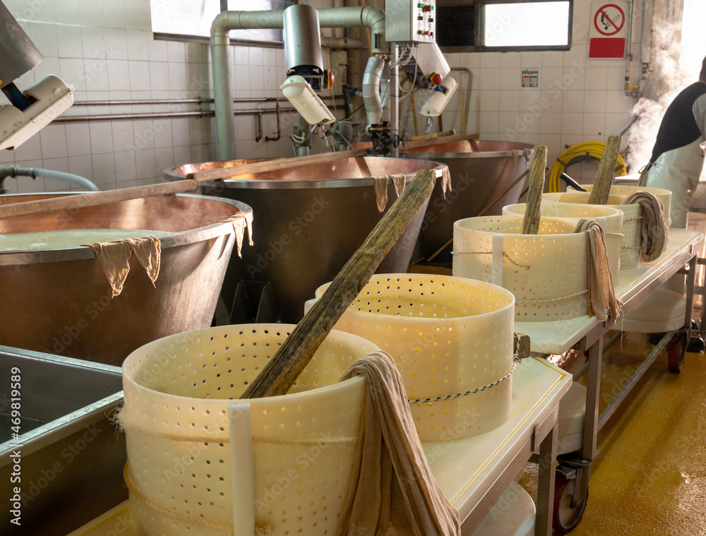 Process of making wheels of parmigiano-reggiano parmesan cheese on ...