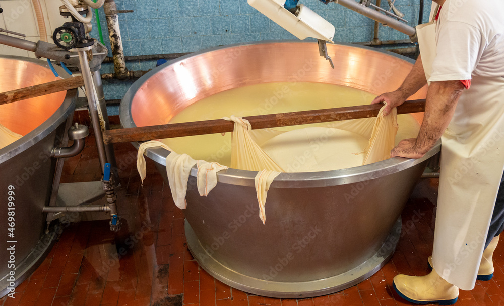 Process of making wheels of parmigiano-reggiano parmesan cheese on ...