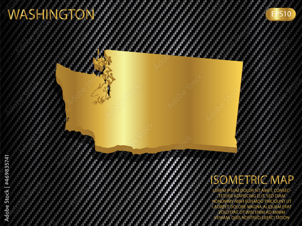 isometric map gold of Washington on carbon kevlar texture pattern tech ...