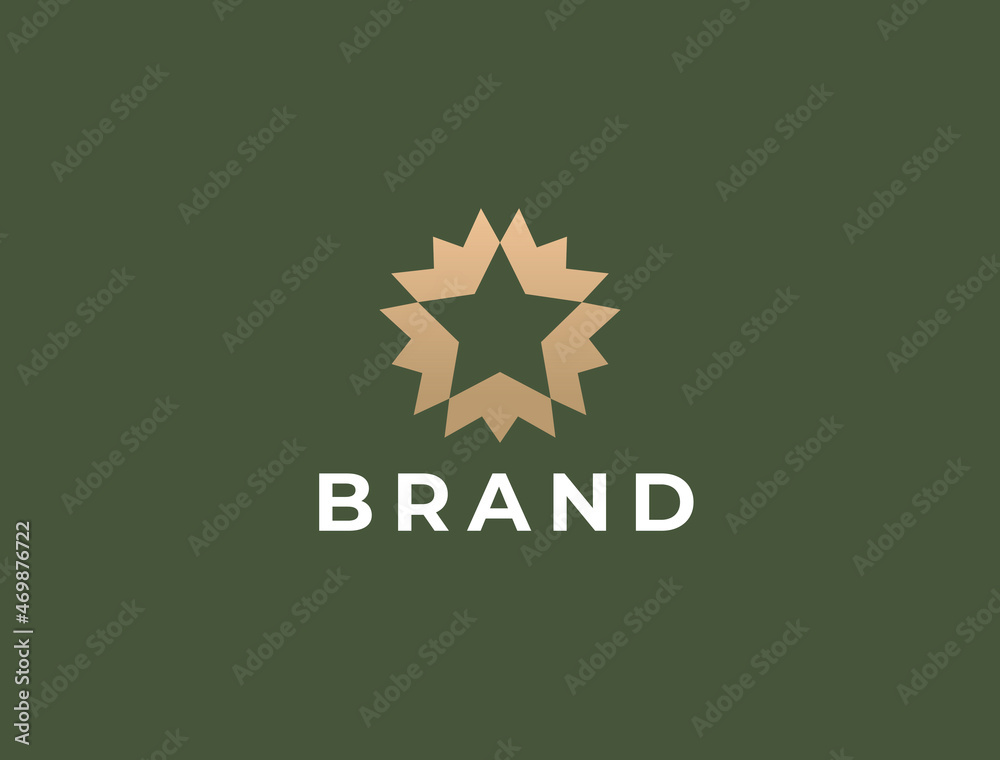 Abstract star logo template. Victory, leadership, money, team, success ...
