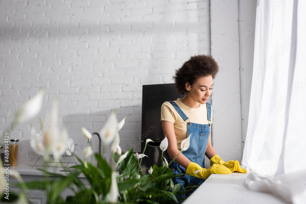 curly african american woman holding rag near window sill and plants in ...