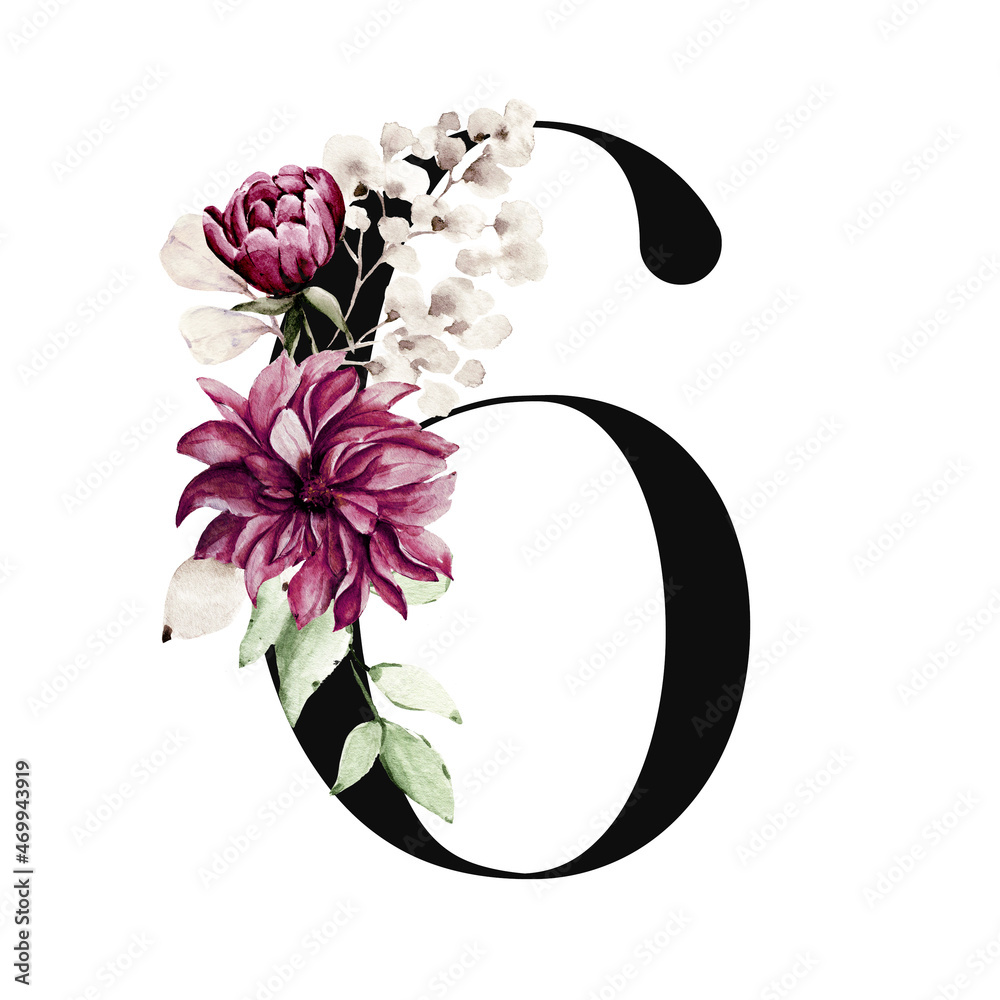 Number 6 with watercolor flowers peonies and leaf. Perfectly for ...