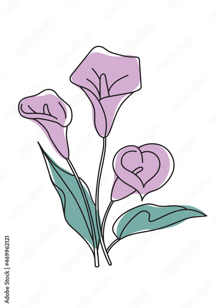 Line art calla lily flower with violet and green color shape. Hand ...