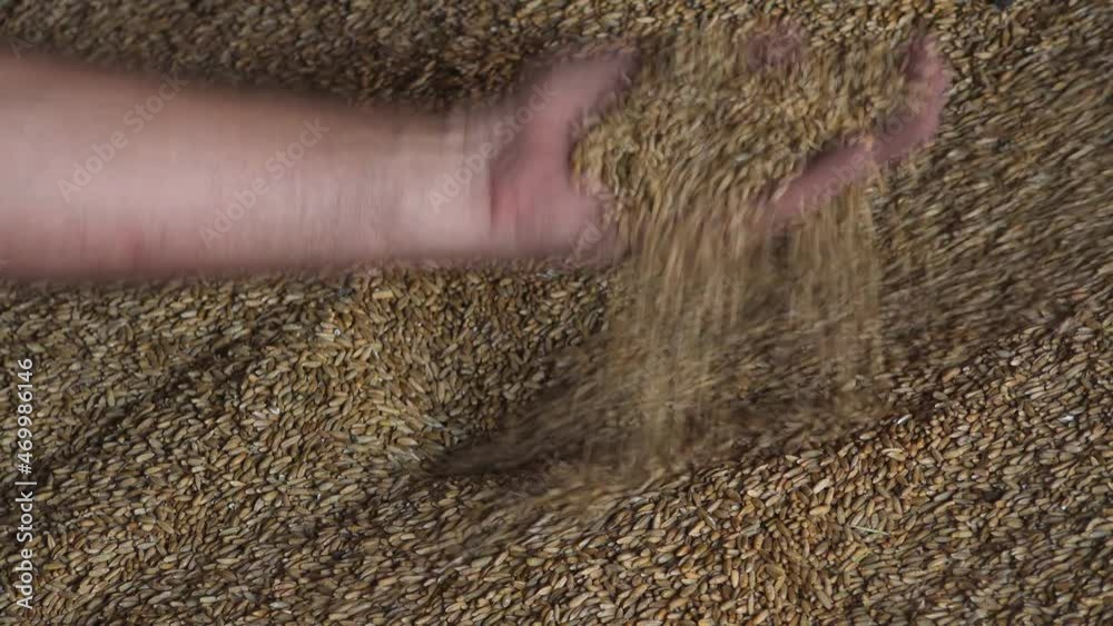 Close-up movement of a farmer's hand, who controls his hands at the ...