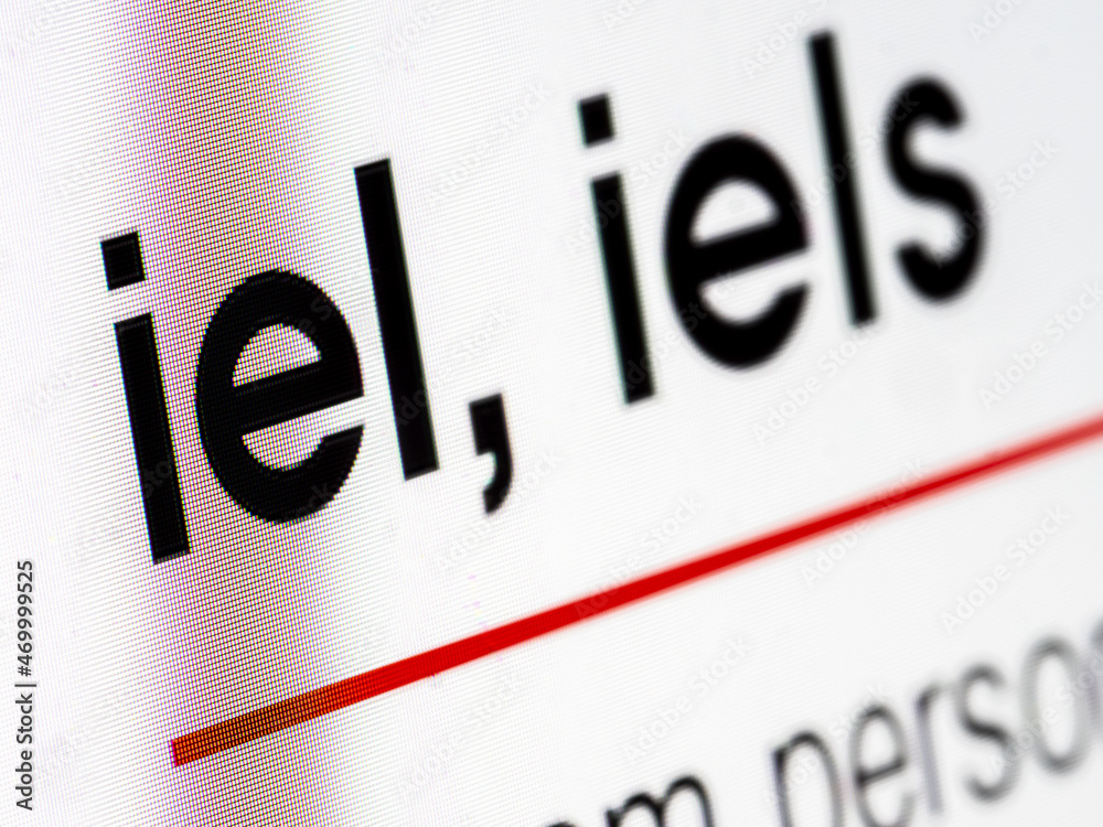 iel, iels, écriture inclusive - Pronom personnel singulier et pluriel ...