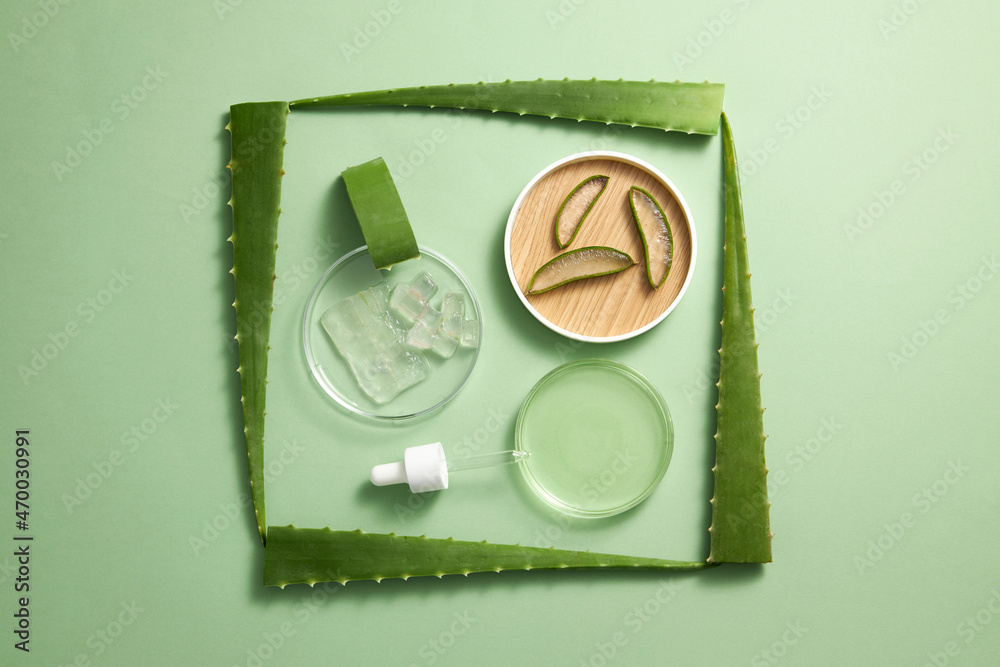 Aloe vera extract research in laboratory with a petri dish dropper in ...