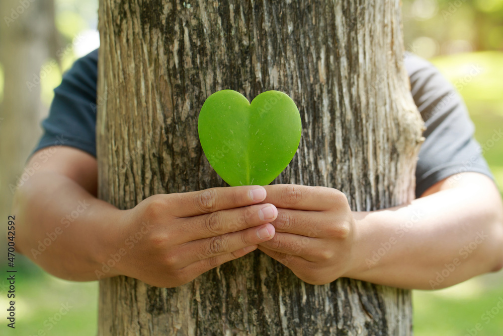 Man hugging tree bark and holding heart-shaped leaves CSR ,ESG, Eco ...