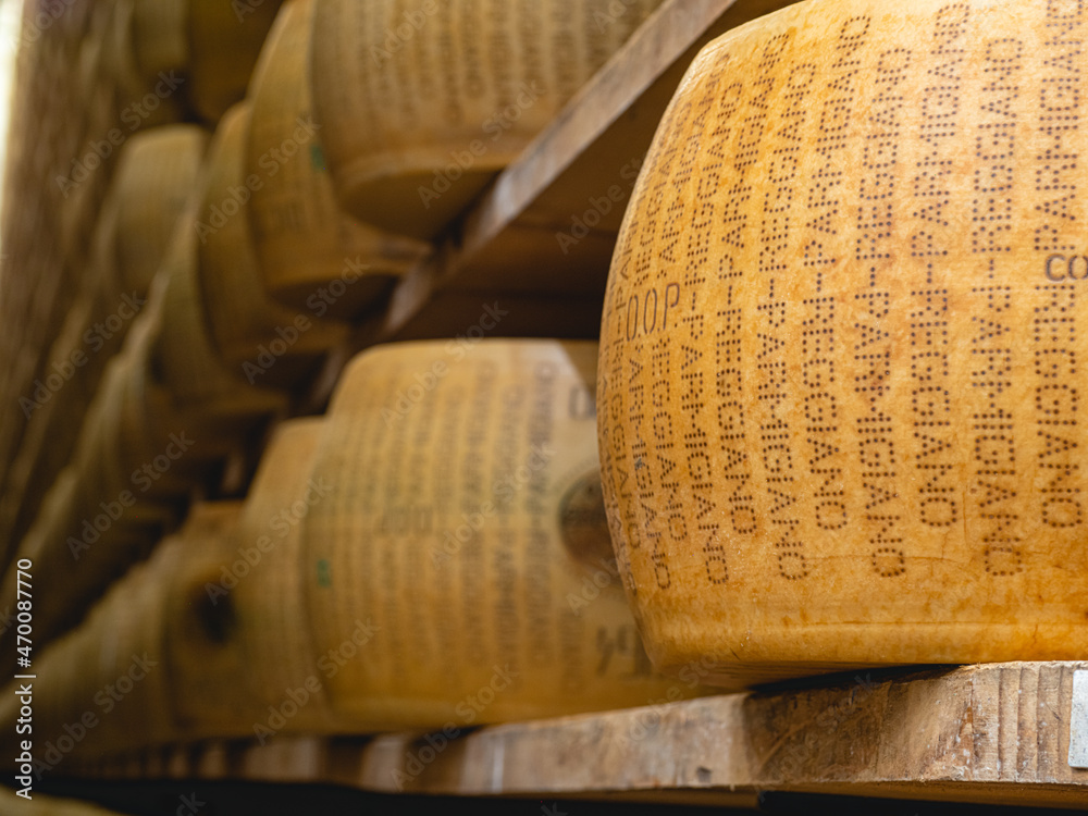 wheels of certified parmesan parmigiano reggiano hard organic cheese ...