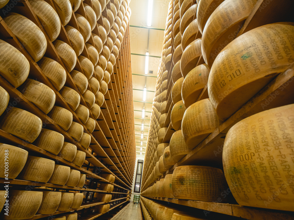 wheels of certified parmesan parmigiano reggiano hard organic cheese ...