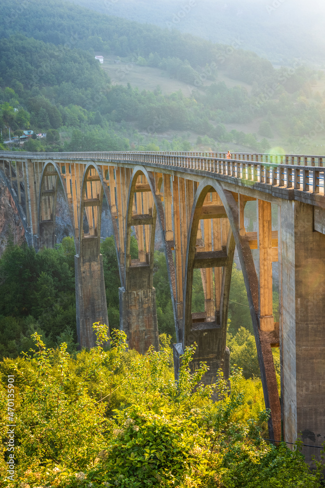 The Tara Bridge is a concrete arch bridge over the Tara River in ...