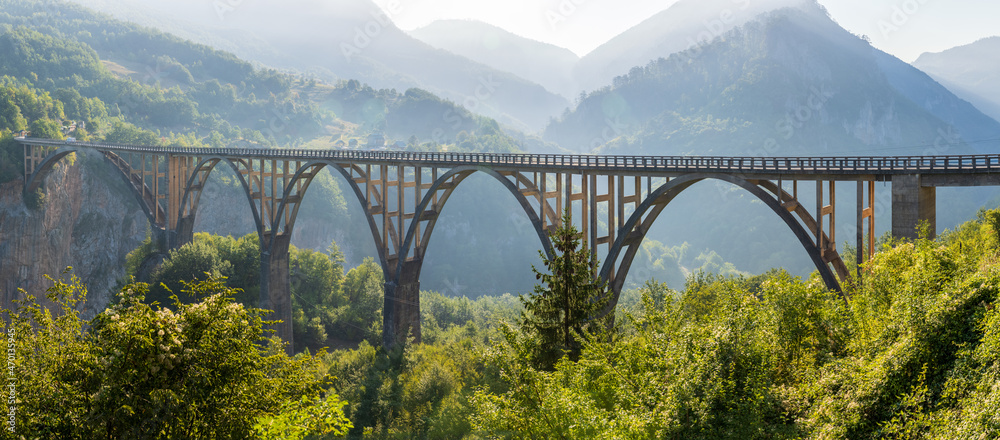 The Tara Bridge is a concrete arch bridge over the Tara River in ...