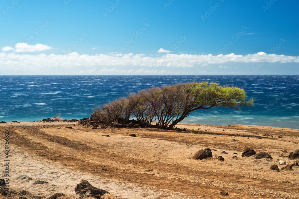 Lava rocks pile up along the high tide line of a small beach to meet ...