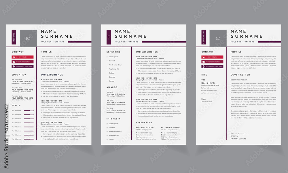 Professional Resume template Two-page cv layout Stock Vector | Adobe Stock