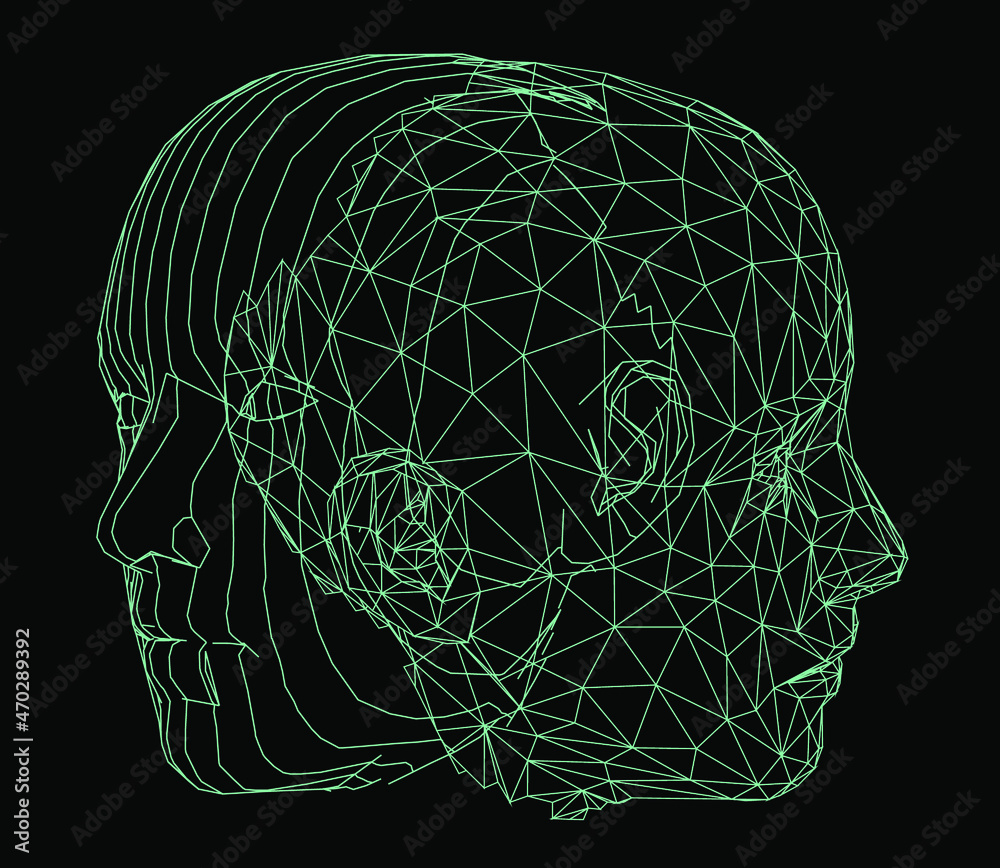 Low polygonal 3D wireframe mesh of a human head. Concept illustration ...