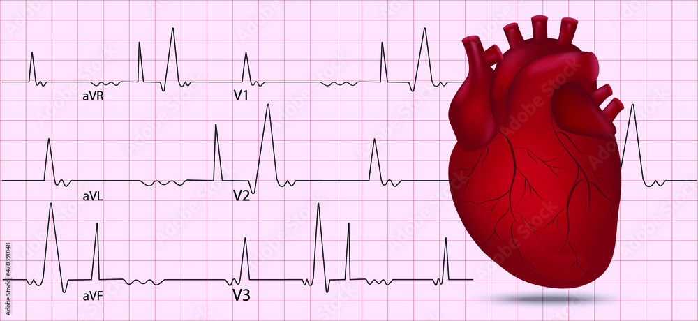 Anatomy of human heart illustration with heart rate and light pink ...