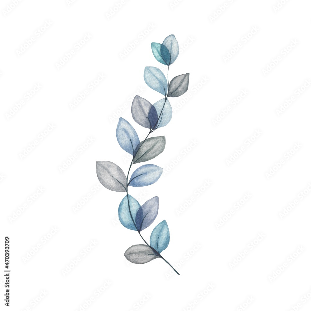 Stylized translucent leaves botanical drawing isolated on white ...